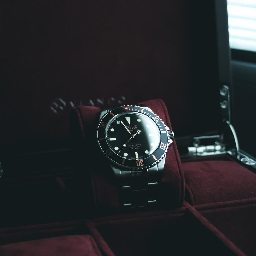 Best 12 Homage Watches for 2024 – Davosa USA